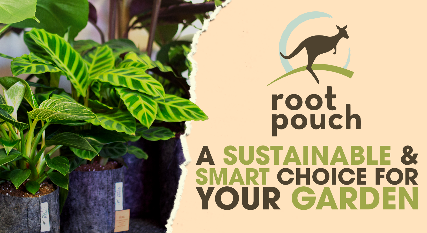 Sustainable Root Pouches Blog By Holland Horticulture