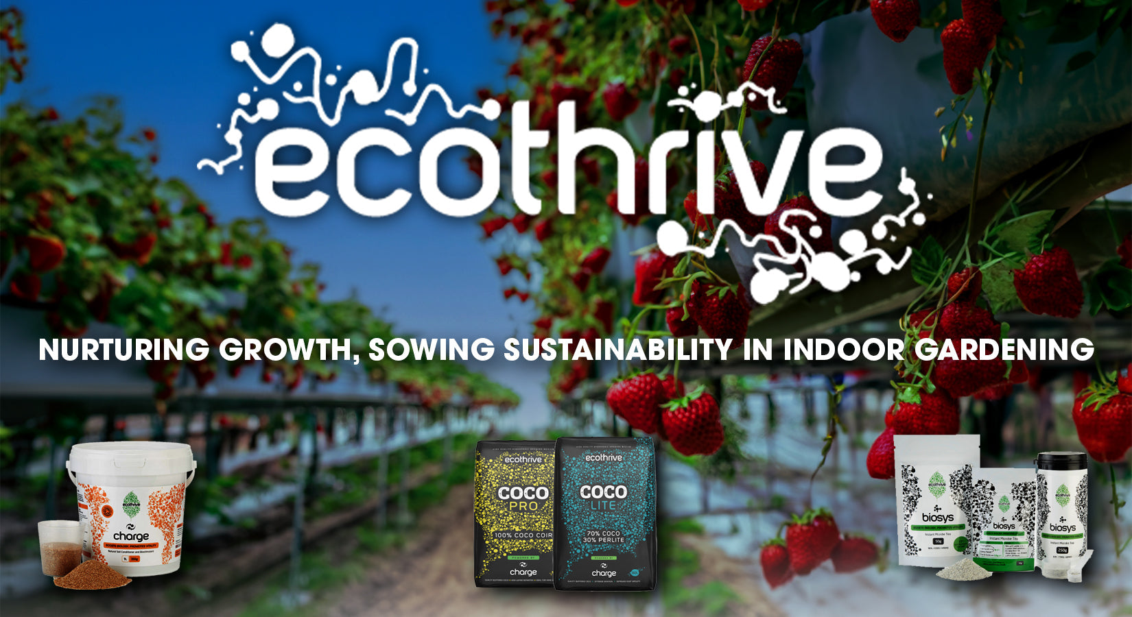 Ecothrive for Indoor Gardening Blog by Holland Horticulture