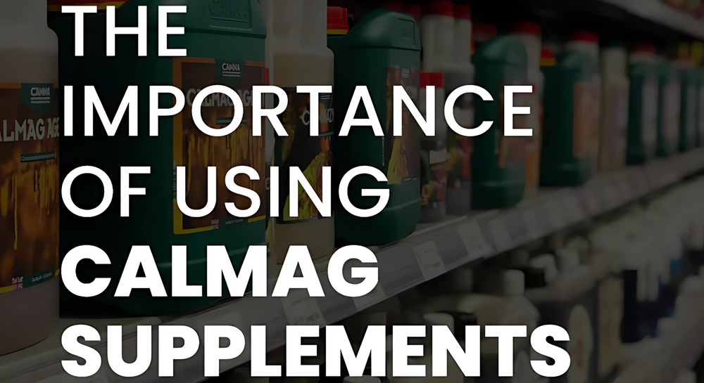 The Importance Of Using CalMag Supplements Hydroponics Blog