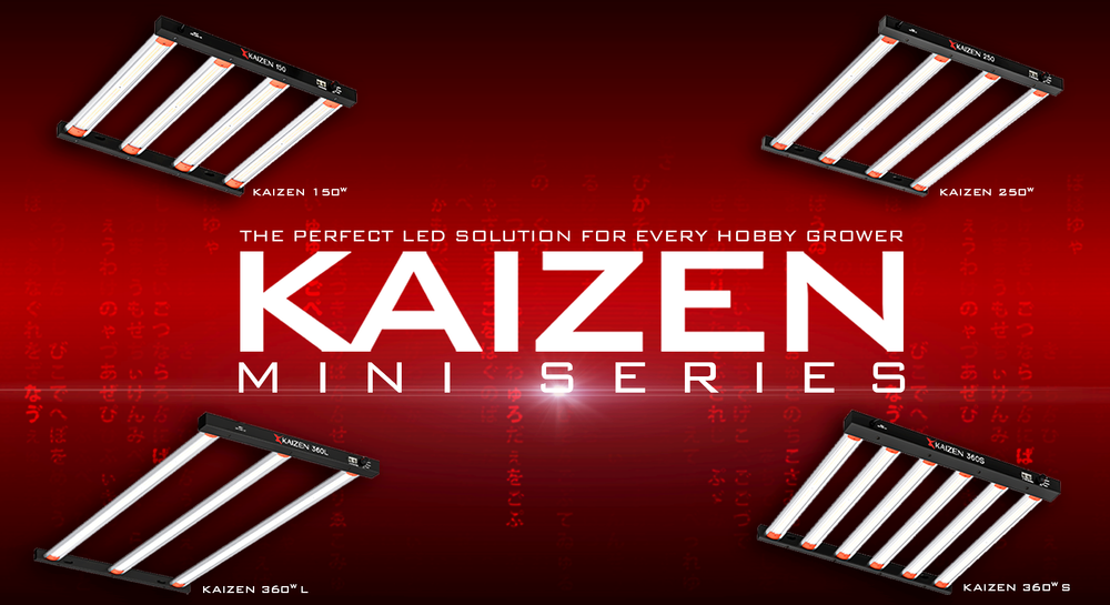 The Kaizen Mini Series Takeover is Here: The Perfect LED Solution for