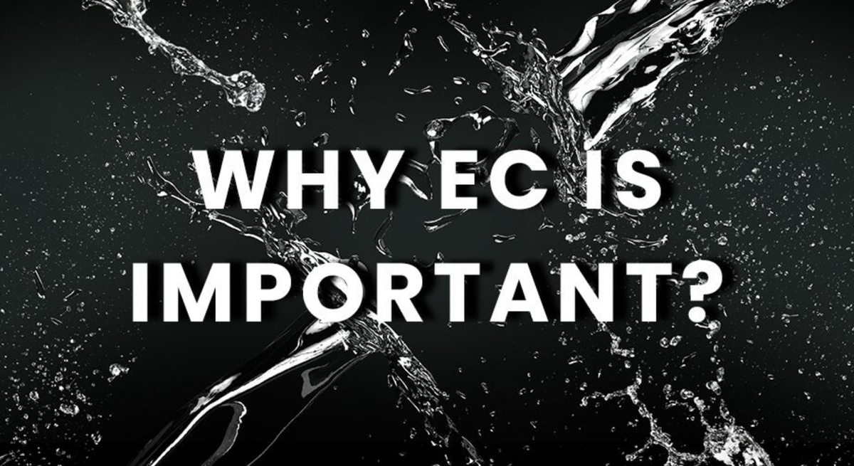 Why EC Is Important In Hydroponics Blog by Holland Horticulture